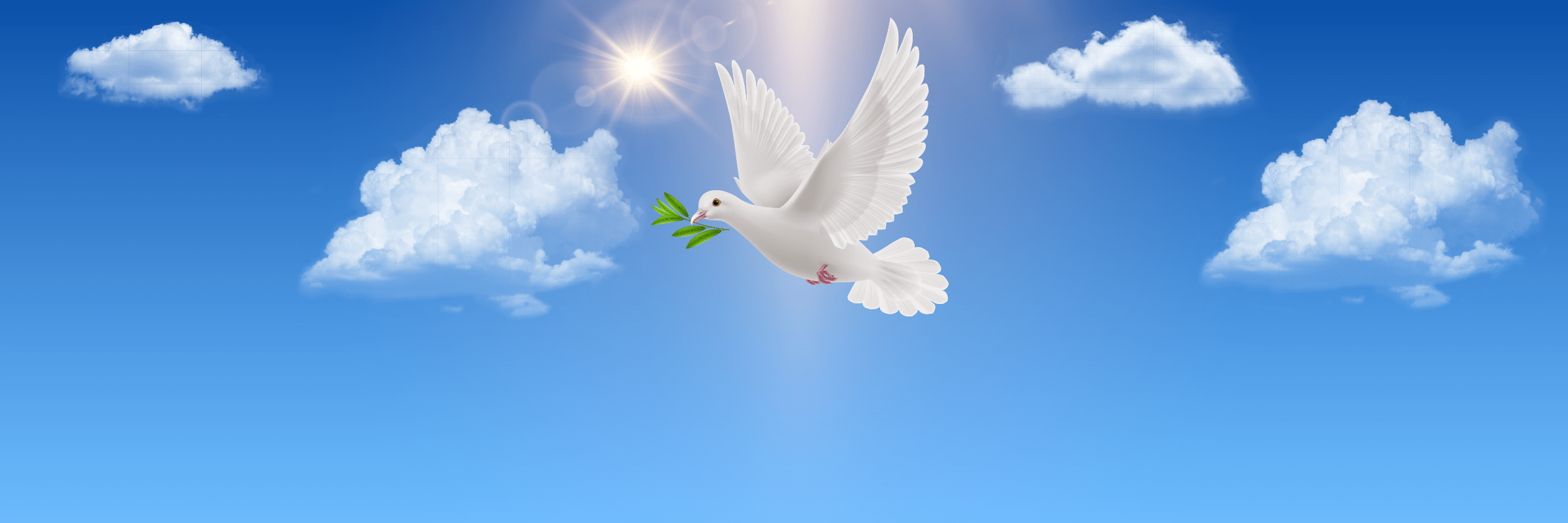 Next Pope Betting Odds and Predictions