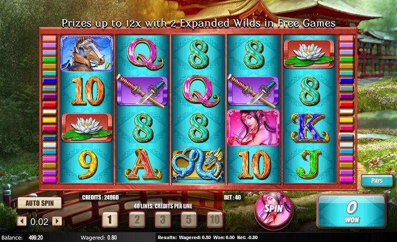 Samurai Princess Review 🥇 (2025) - RTP & Free Spins