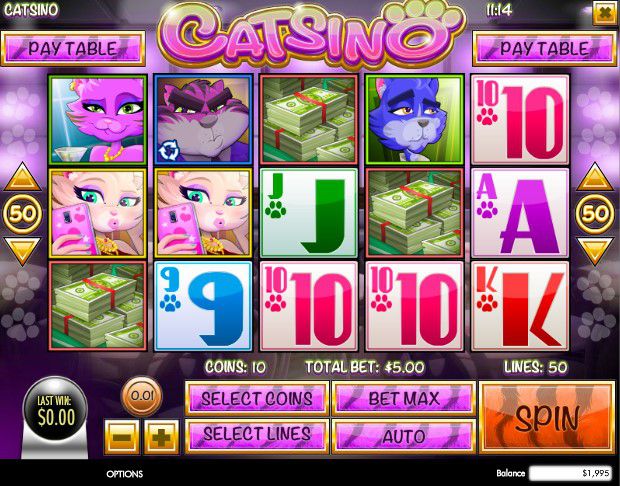 Catsino Slot Review 🥇 (2025) - RTP & Free Spins