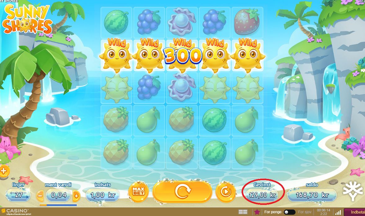 Sunny Shores Slot Review 🥇 (2025) - RTP & Free Spins