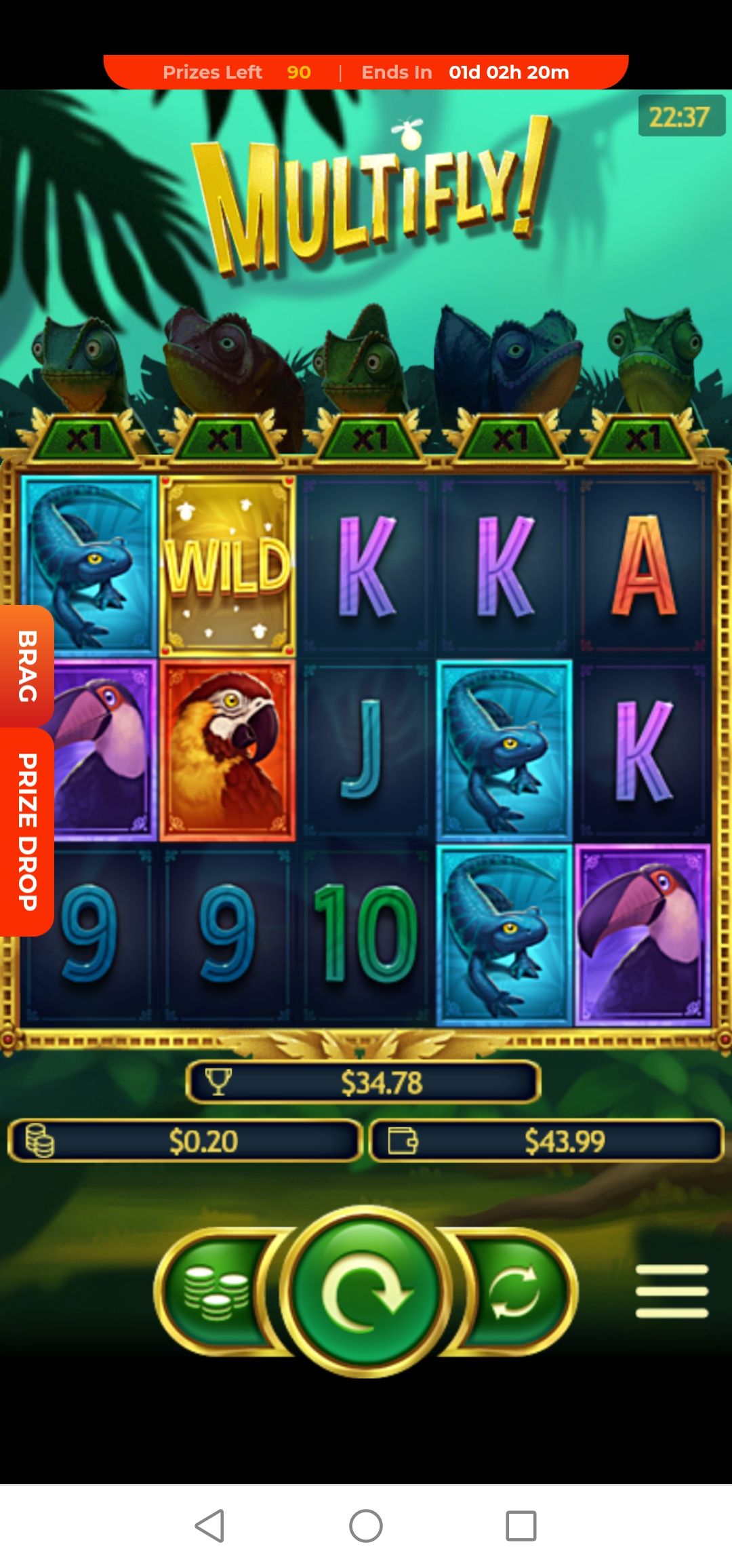 Multifly (2021) 🥇 Review | RTP - AskGamblers