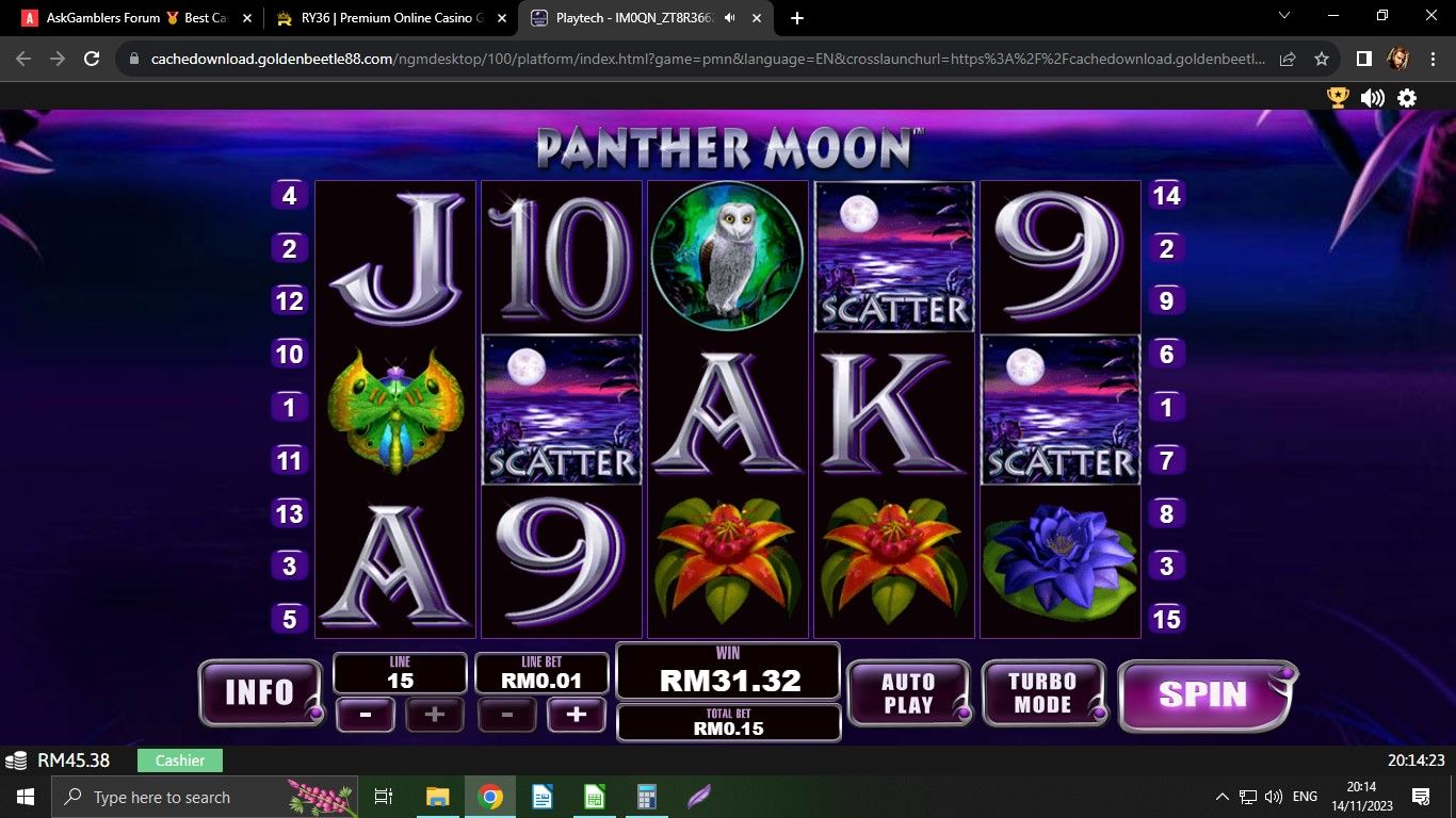 Panther Moon Slot Review 🥇 (2024) - RTP & Free Spins