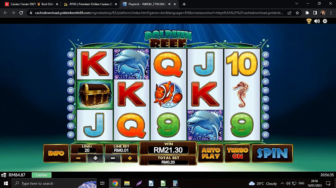 Dolphin Reef Slot Review 🥇 (2025) - RTP & Free Spins