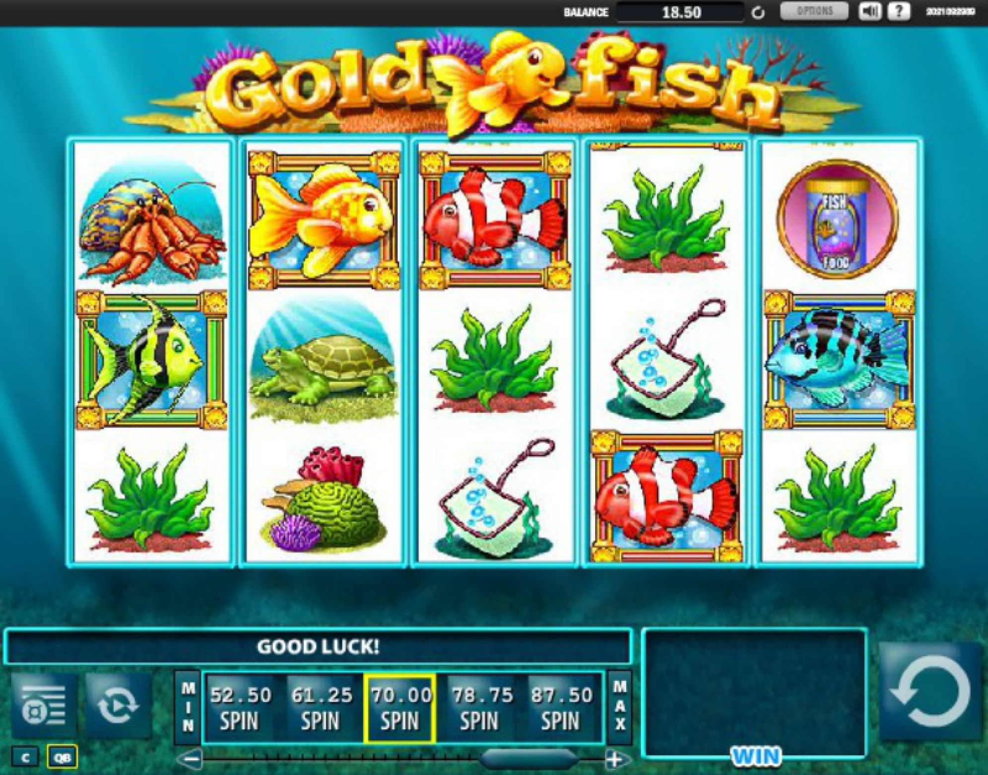 Gold Fish Slot Review ️ 2023 - AskGamblers